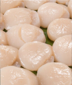 Catalog of products from fish processing company Nikko