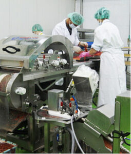 Catalog of products from fish processing company Nikko