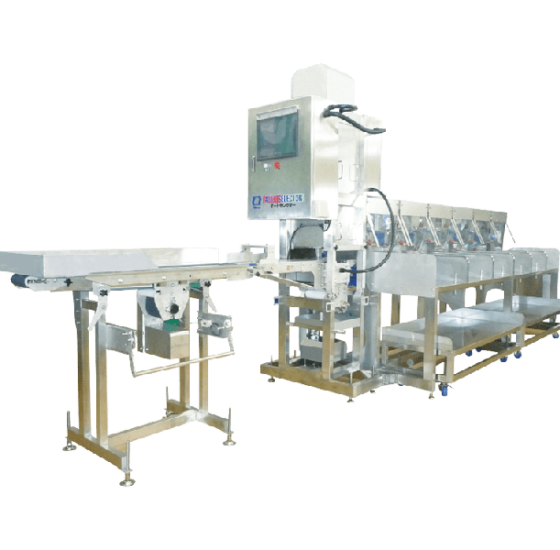 Shell Sorting Machine NGL-1000